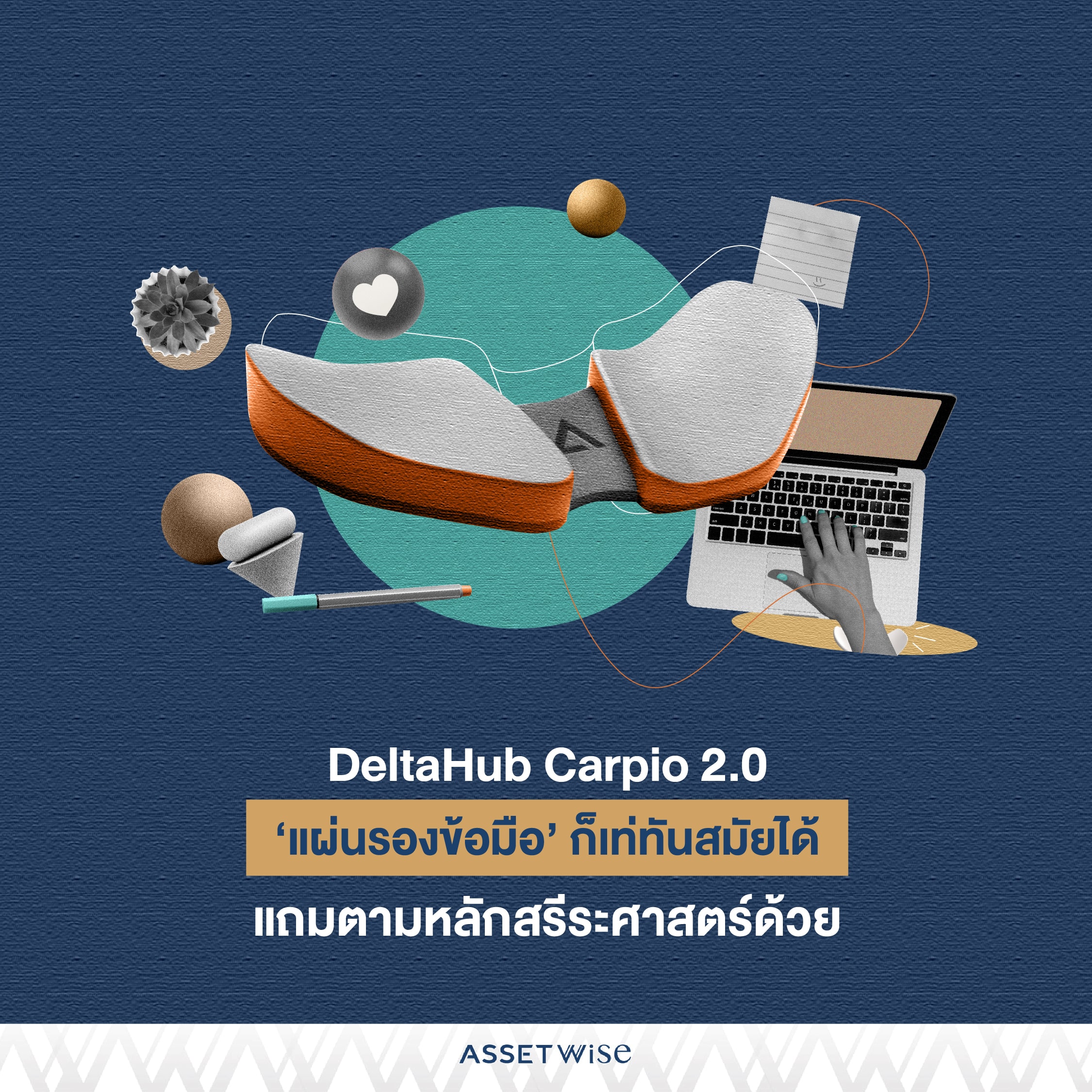 DeltaHub Carpio 2.0 | AssetWise
